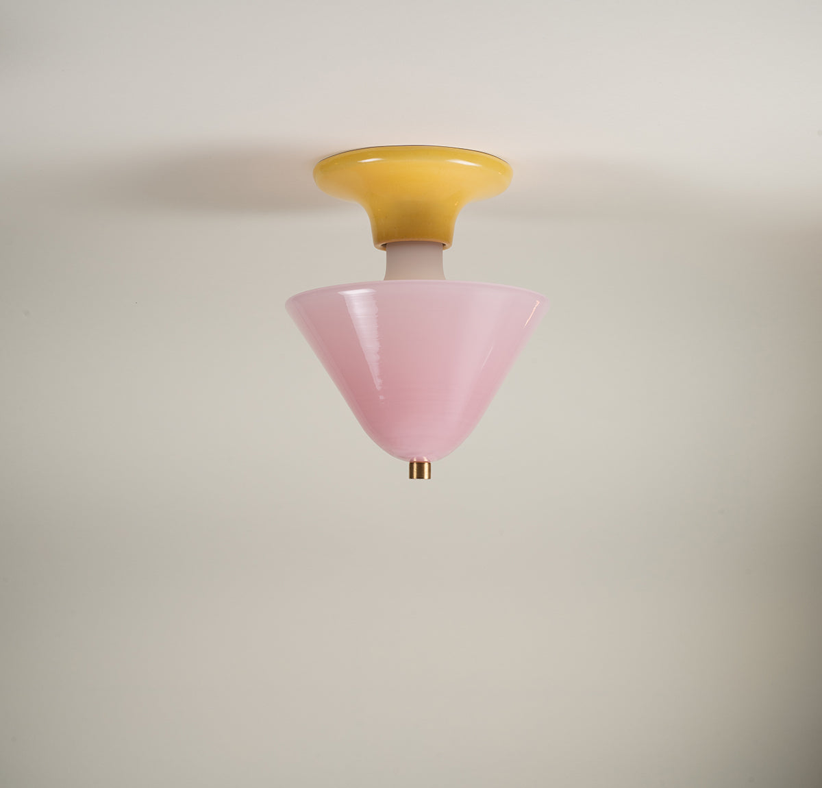 Sena Yellow-Rose – Equal Equal